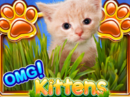 Play OMG! Kittens Slots Online - PlayMillion Slots Games